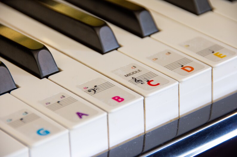 STATIC PIANO Labels Colour Coded for All Size Pianos and - Etsy