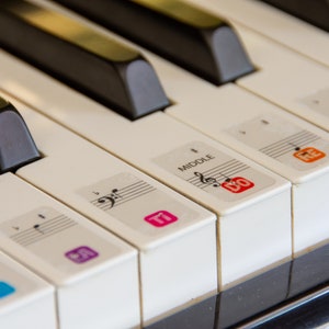 STATIC PIANO Labels Solfege Kids for All Size Pianos and Keyboards the ...