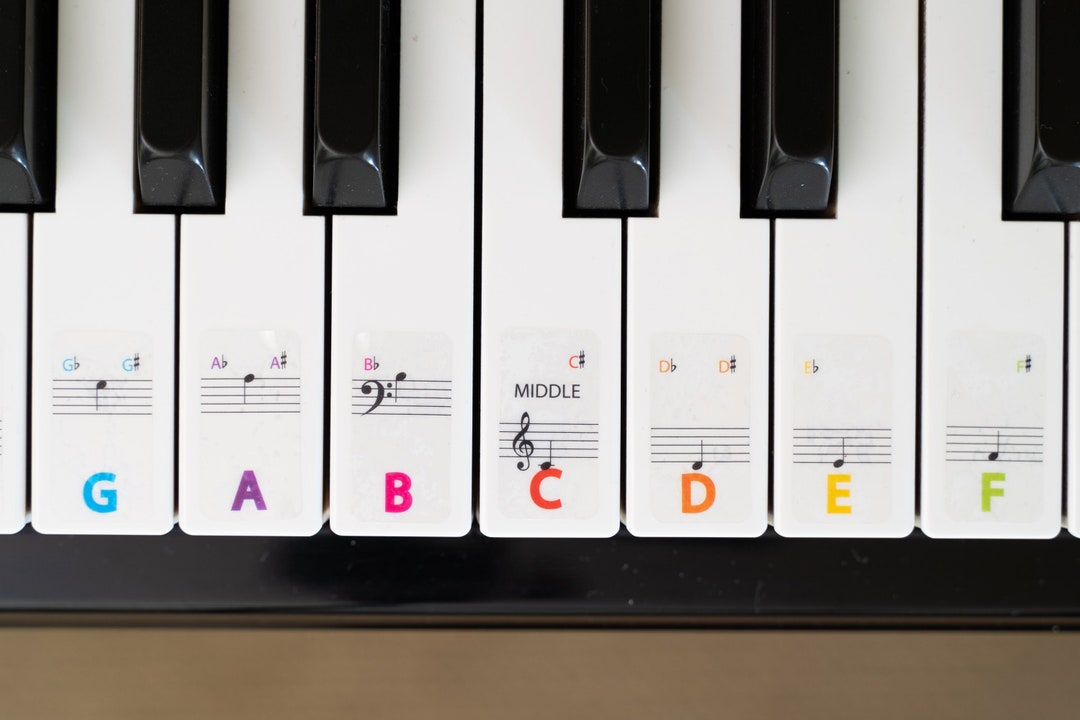 STATIC PIANO Labels Colour Coded for All Size Pianos and Keyboards the ...