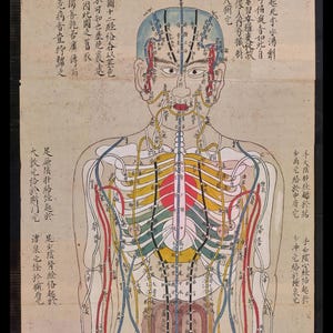 YUANWELLNESS: Japanese Acupuncture Chart – Meridians Zang Fu Organs ...