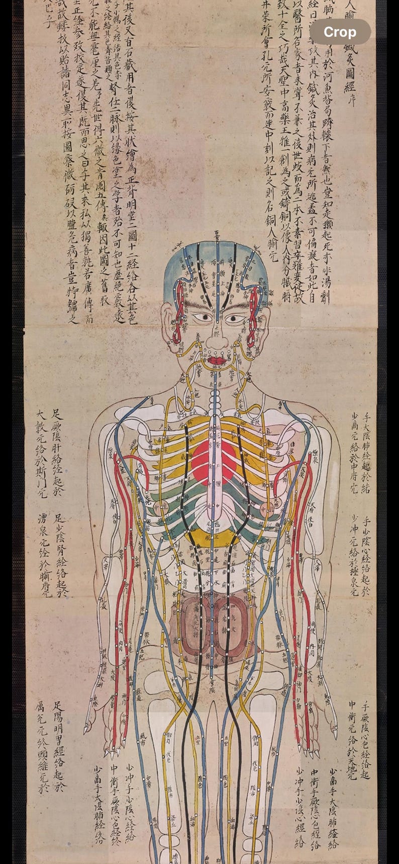 Japanese Acupuncture Chart: Edo-period Meridian Illustration (digital ...