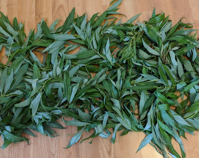 A Box of Dozen Willow Wreaths - Etsy