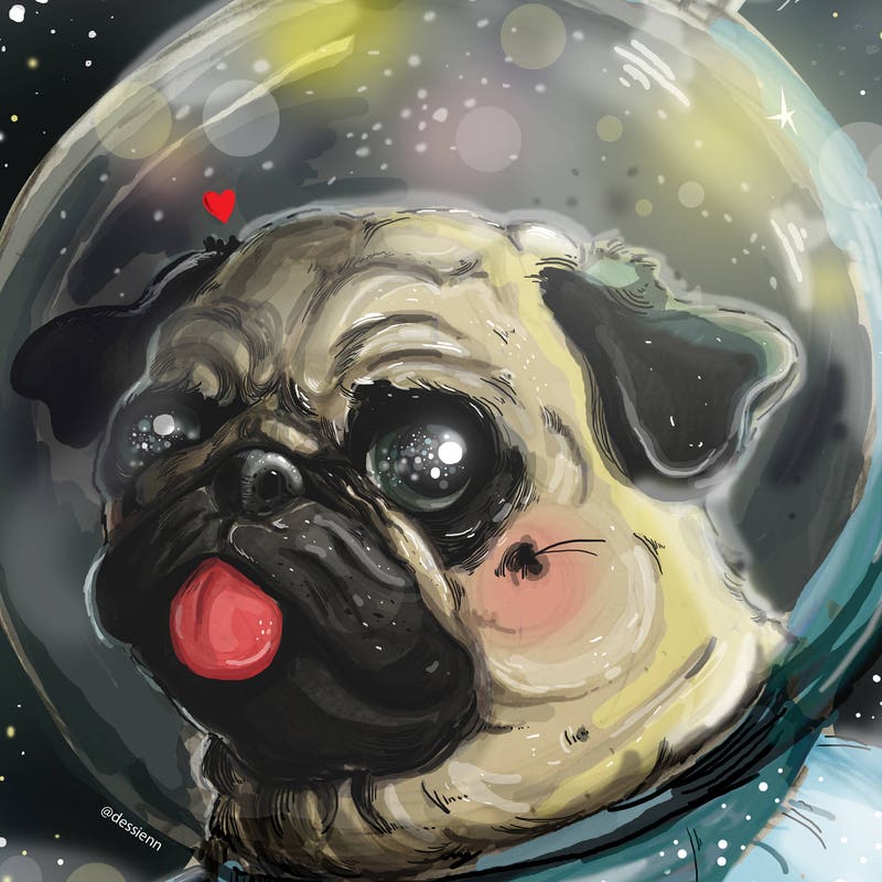 Flyingpugwithballoon - Etsy