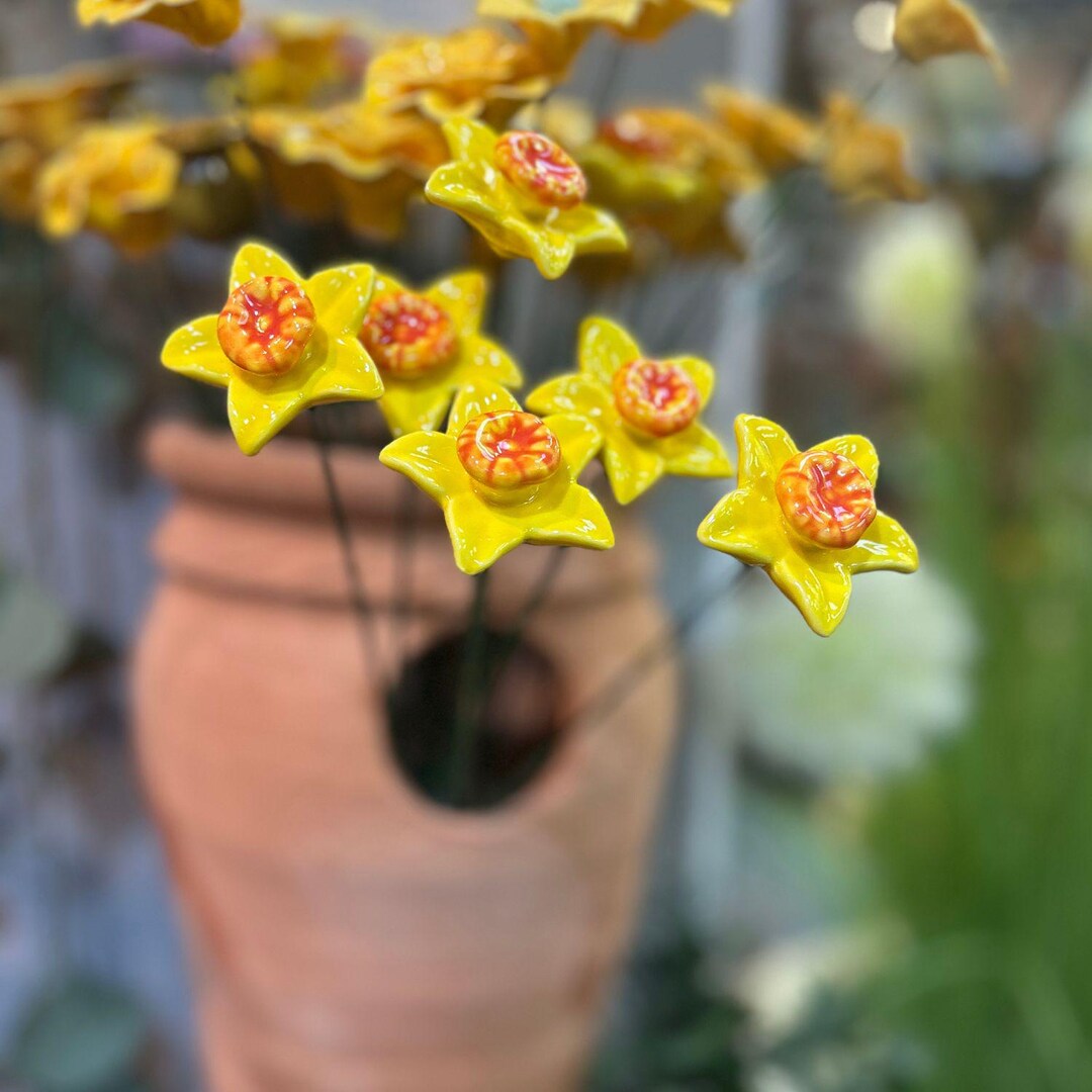 Hand Painted Set of Six Ceramic Daffodils, Poppy, Flowers,st Davids Day ...