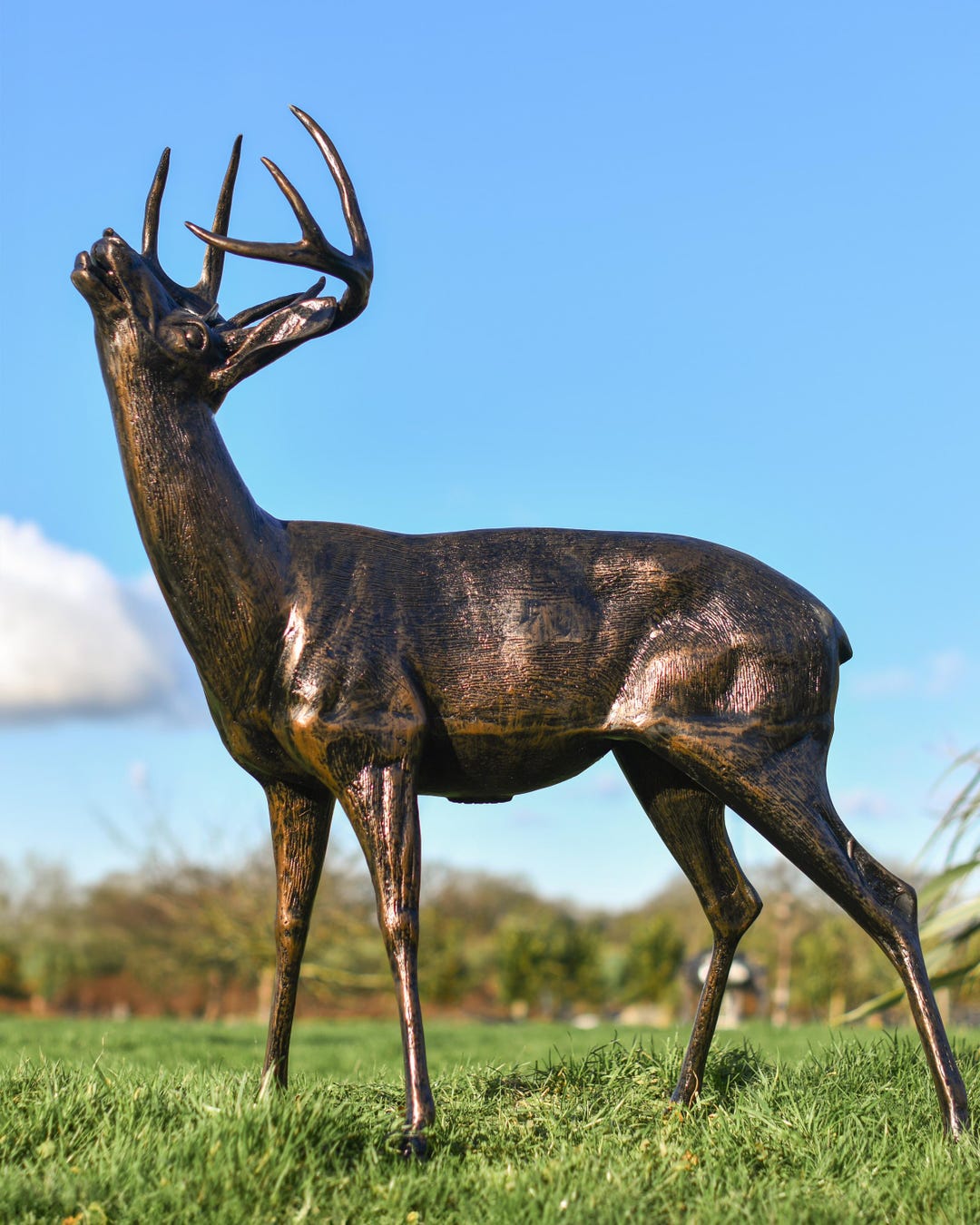 Cast Aluminium Stag Head up Garden Sculpture, Brushed Bronze Deer ...