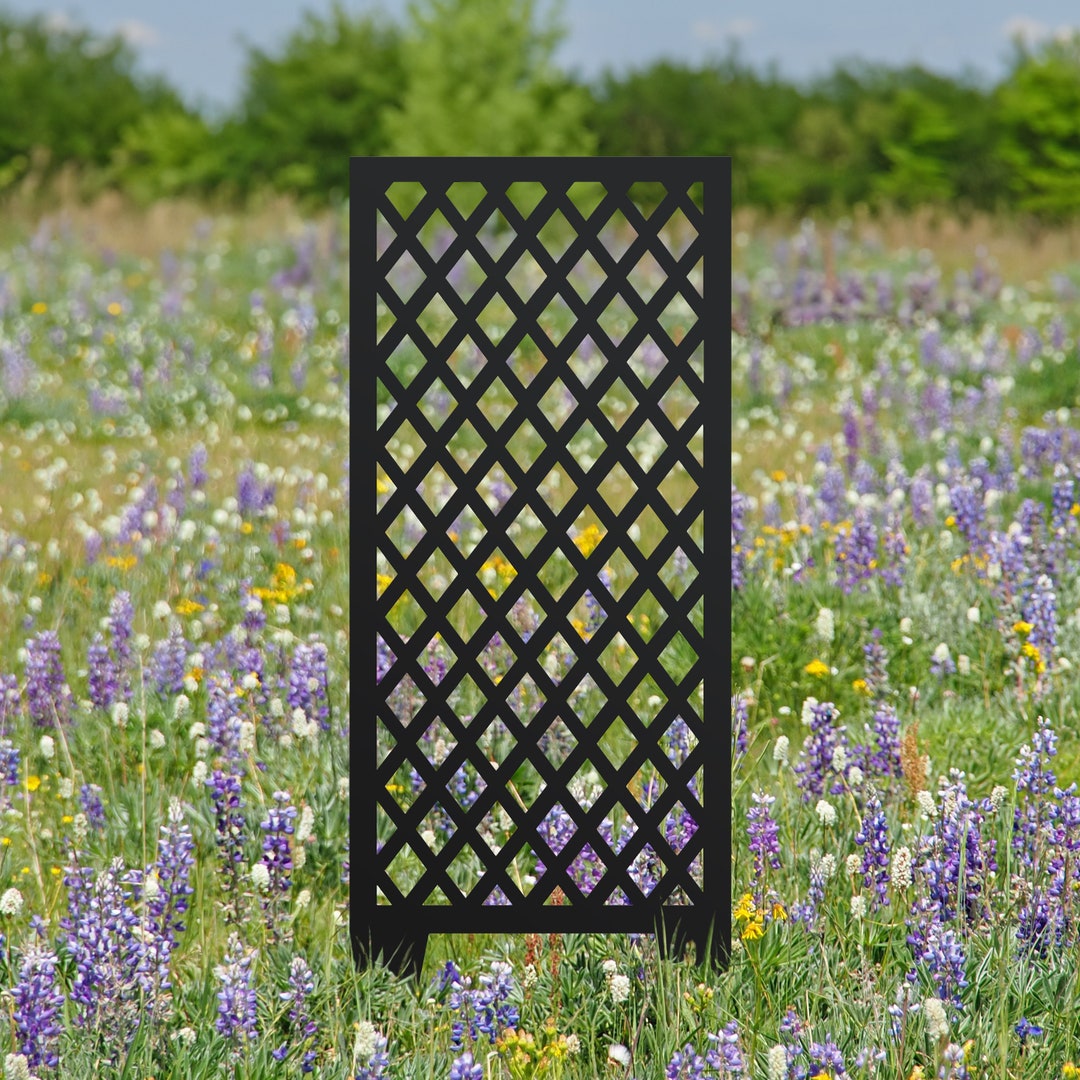 Steel Black Trellis Design Plant Climber, Decorative Garden Screen ...