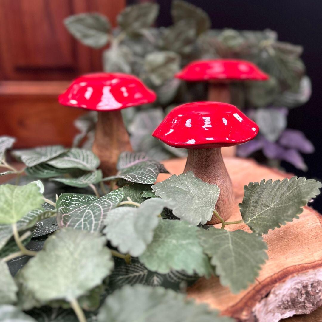 Wood and Aluminium Glossy Toadstool Decoration, Colourful Home Decoration, Woodland, Country ...