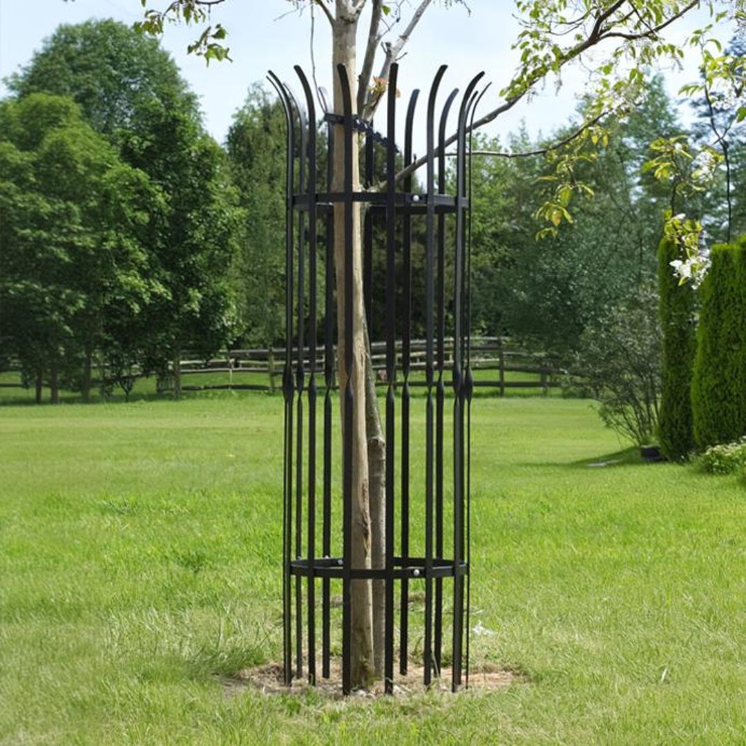 Black Wrought Iron Tree Guard, Orchard, Garden, Seedlings, Junior Tree ...