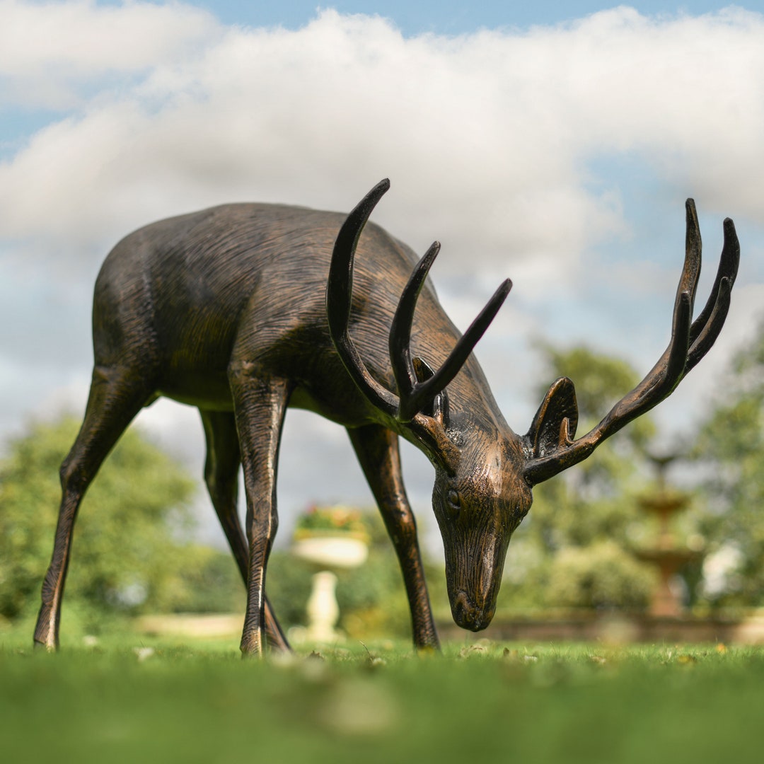 Antique Bronze Life Size Male Stag Buck Fallow Deer Garden - Etsy