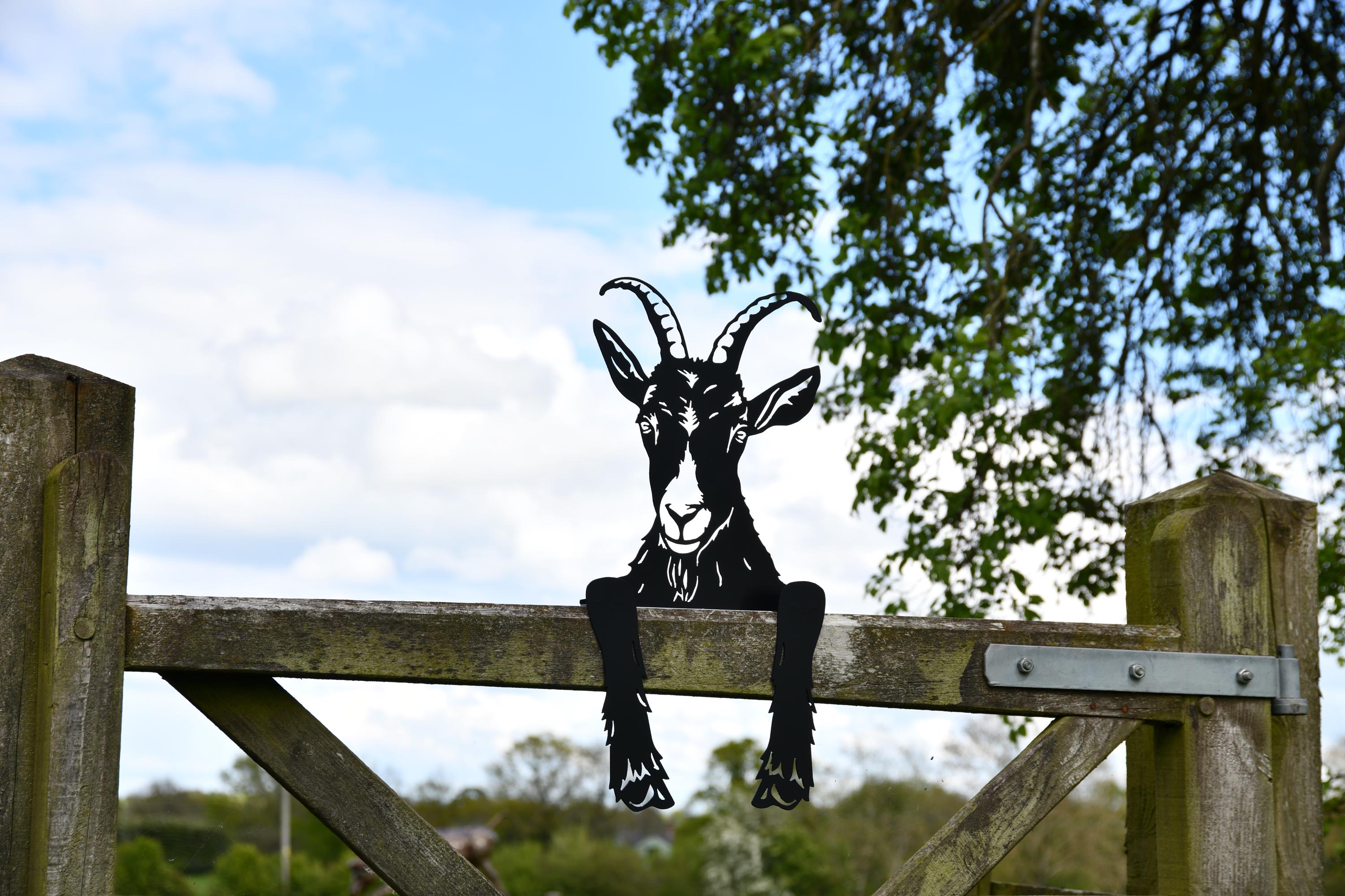 Black Metal Goat Leaning Fence Topper/ Fun and Quirky Garden Decoration ...