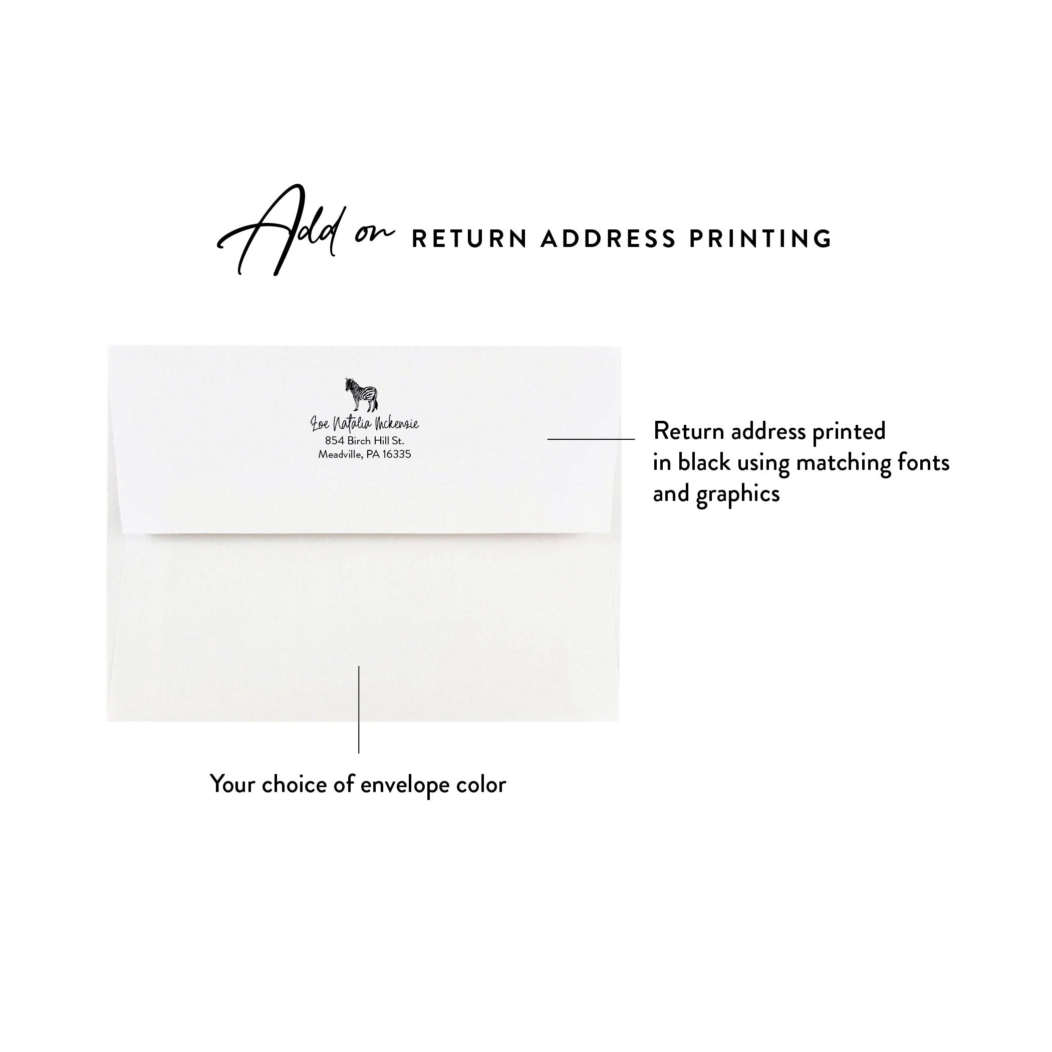 Personalized Zebra Note Card Set, Zoo Animal Stationery Set for Women ...