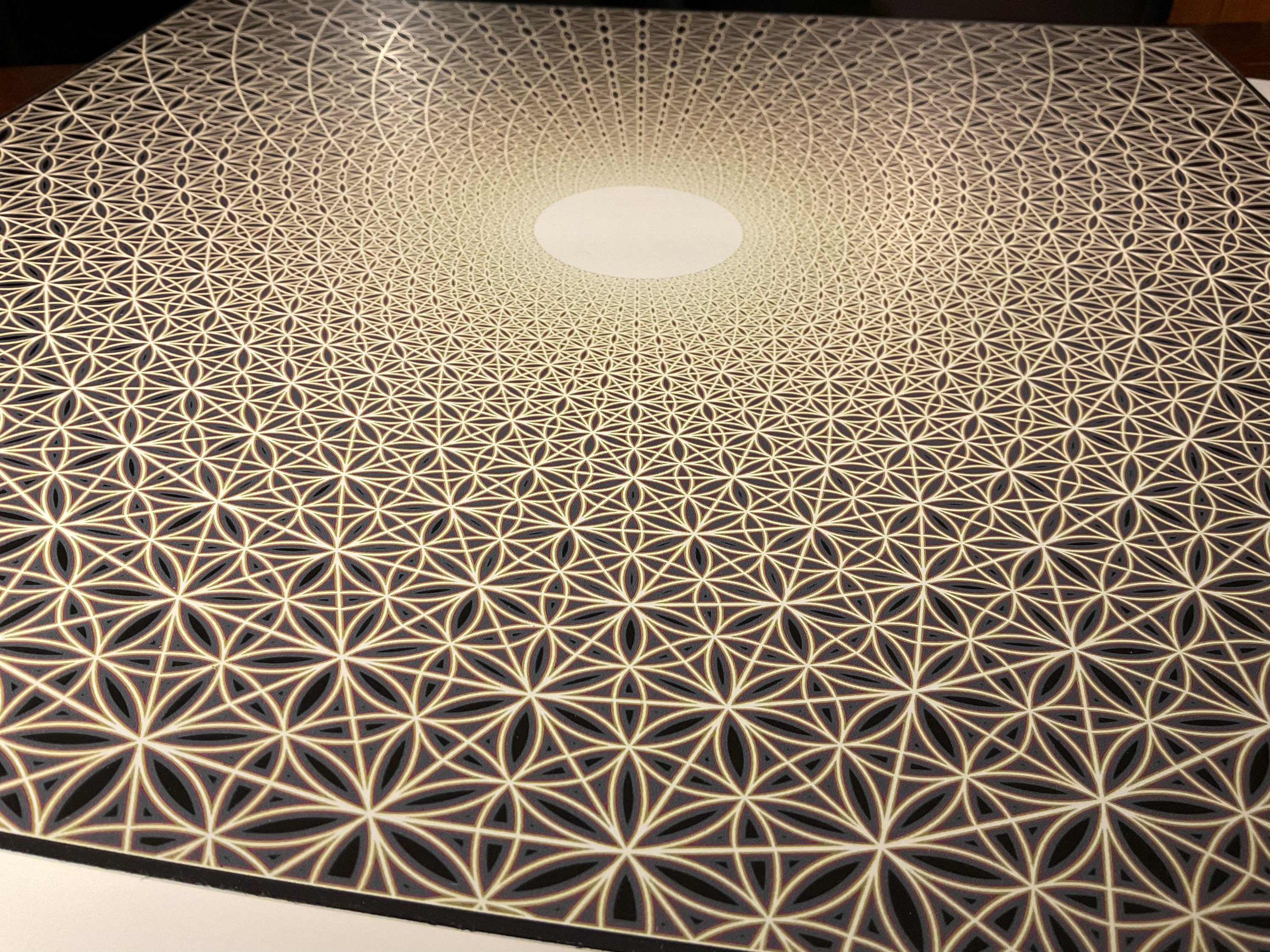 Sacred Geometry Poster / Torus Print / Wall Decor / Flower of - Etsy