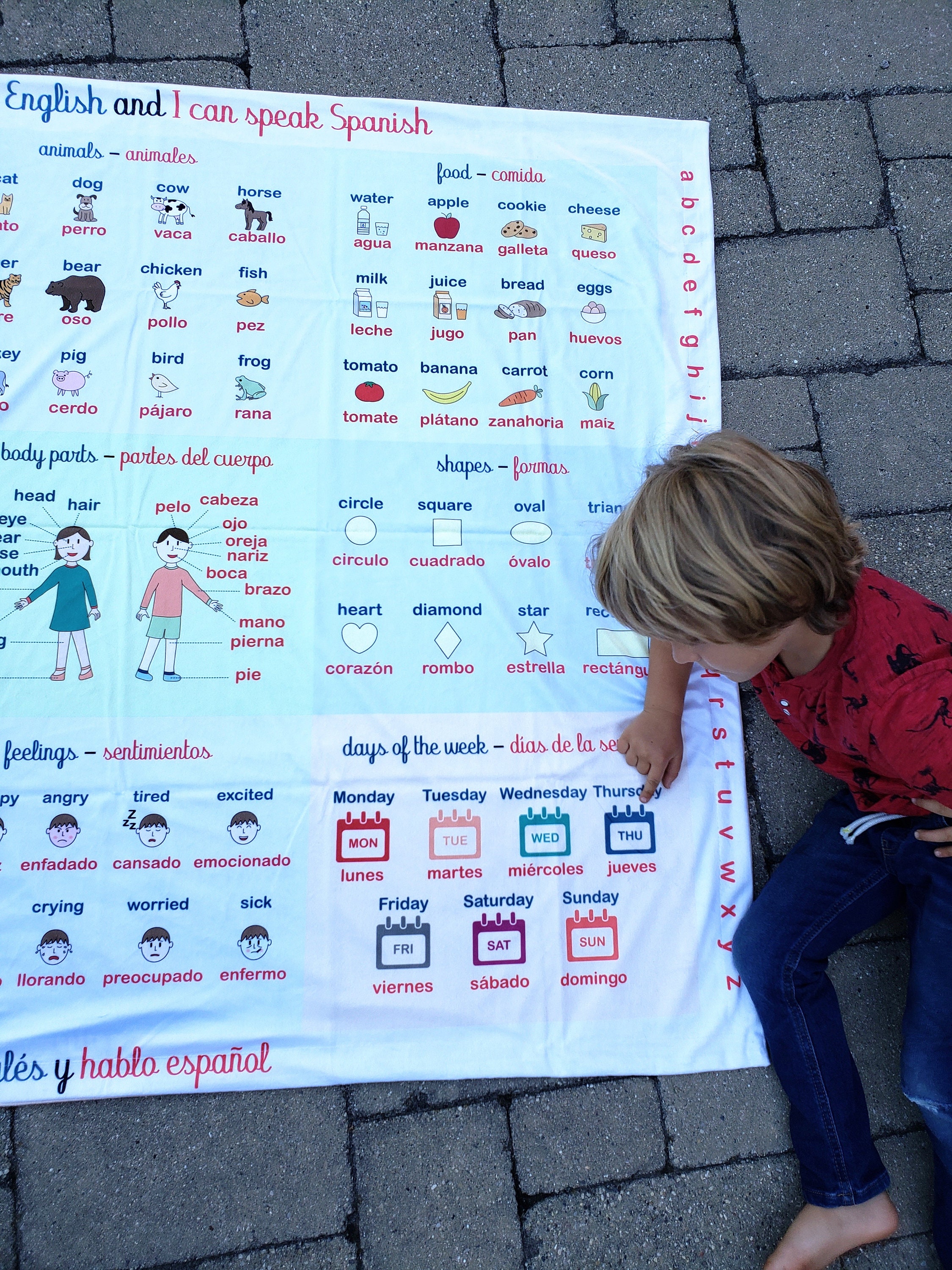 Teach Kids English Spanish ESL Learn Language Read Speak - Etsy