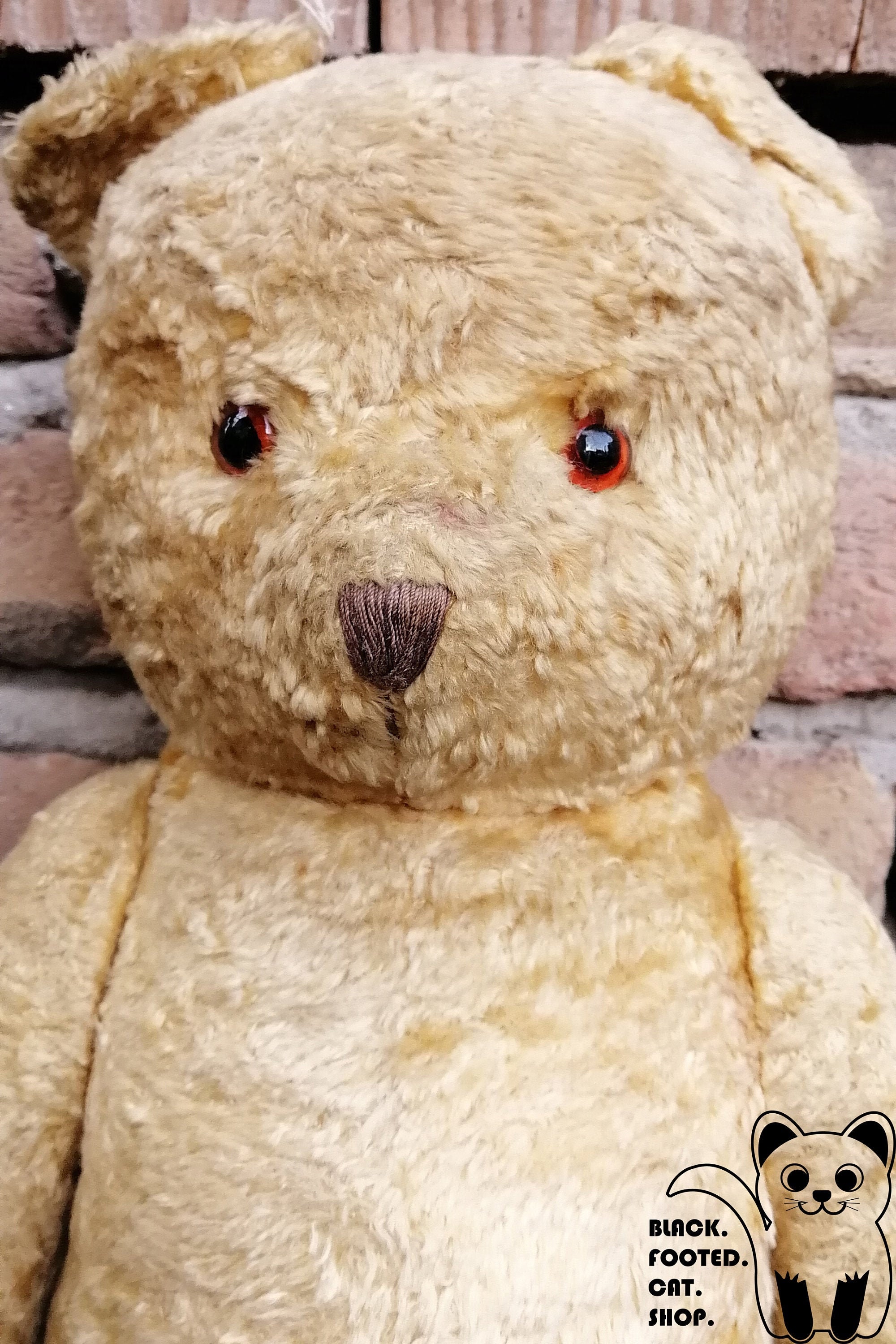 Vintage Teddy Glass - Etsy