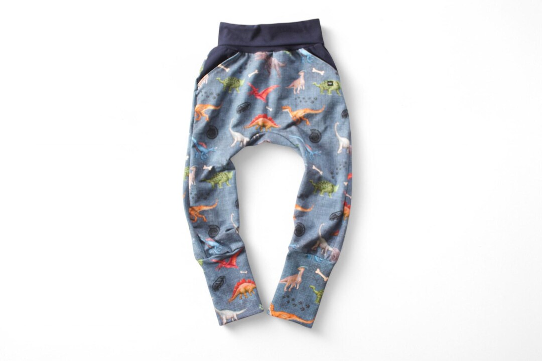 Dinosaur Pants for Boys, Grow With Me Pants, Dino Joggers, Dinosaur ...