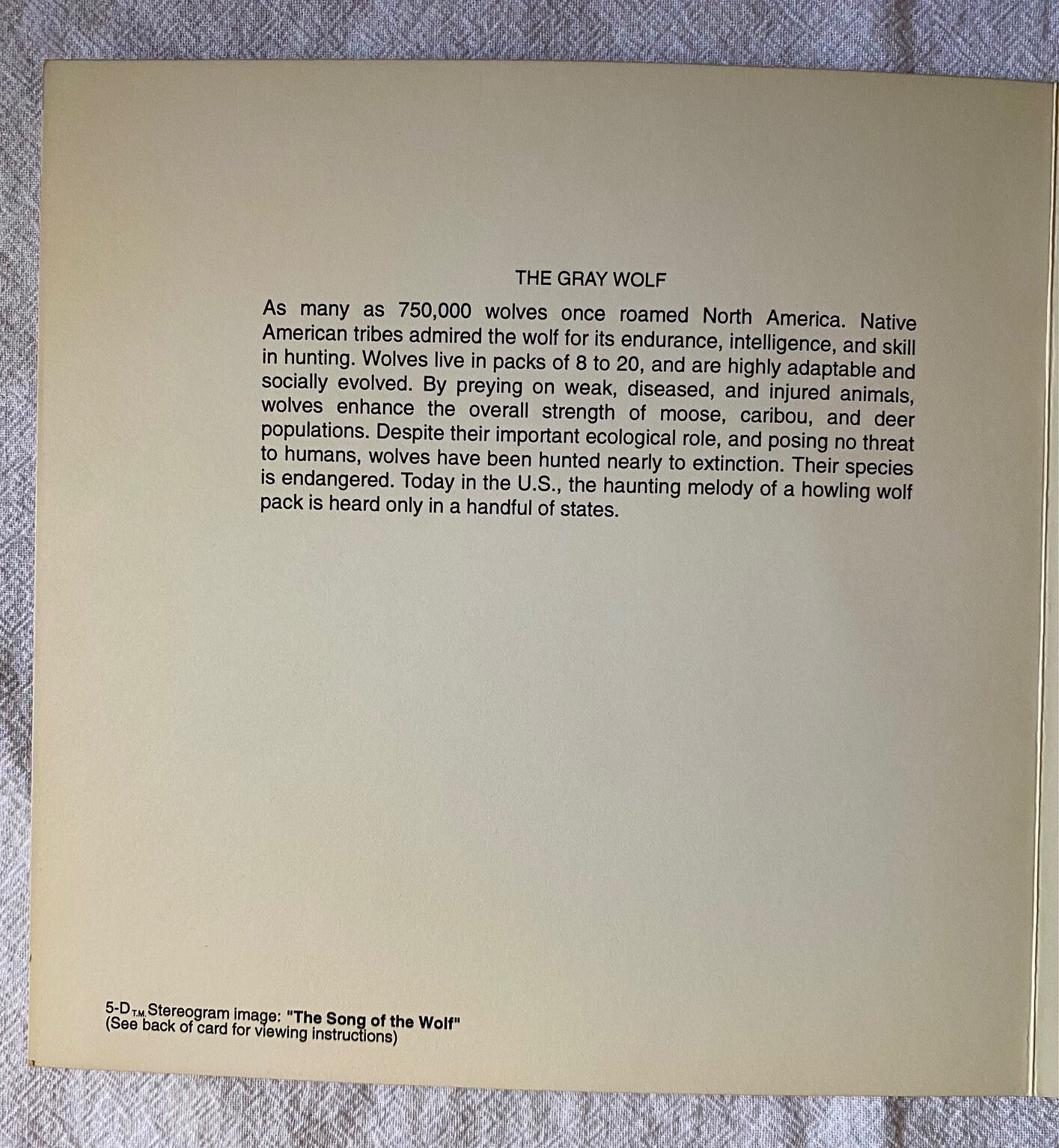 Vanishing Wolf by Blue Mountain Arts 5-D Stereogram Greeting Card 1994 ...