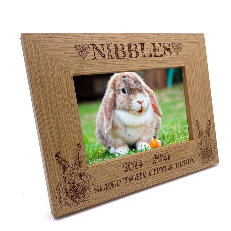 Rabbit Picture - Etsy