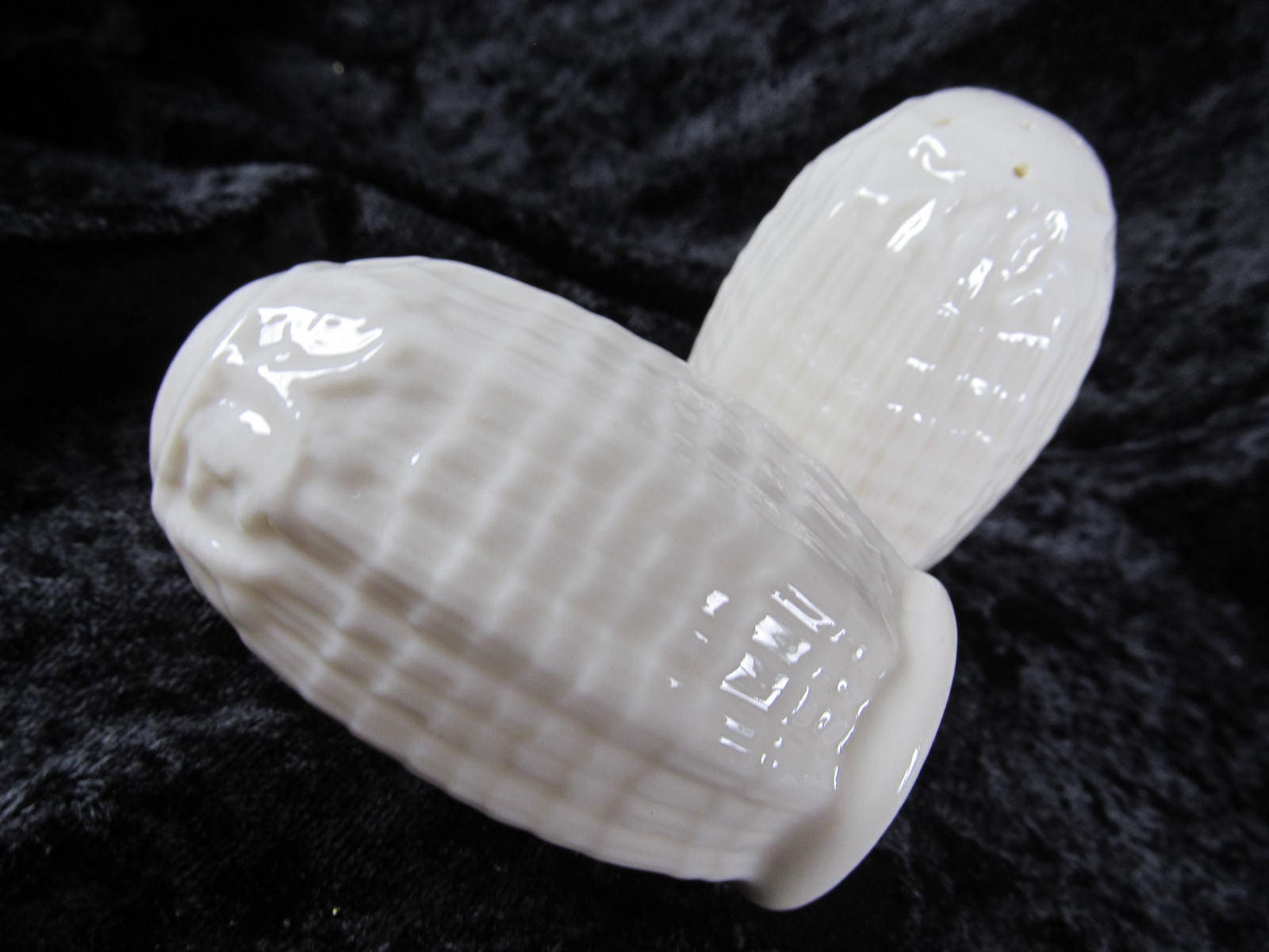 Vintage Belleek Irish Salt & Pepper Shakers: Tridacna Pattern, Parian ...