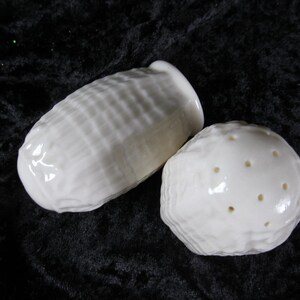 Vintage Belleek Irish Salt & Pepper Shakers: Tridacna Pattern, Parian ...