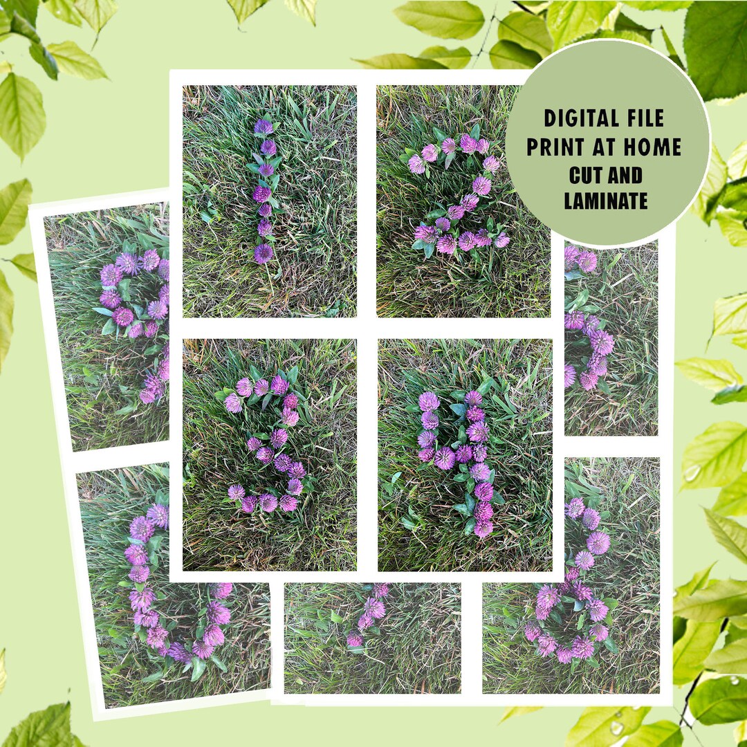 Nature Numbers Flashcards: Floral Counting Cards (printable Digital ...