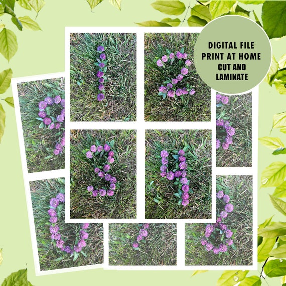 PRINTABLE Nature Numbers Flashcards With Flowers Natural - Etsy