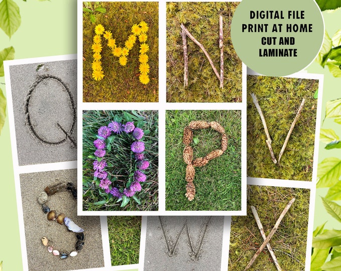 Printable Shapes by Nature Flashcards, Natural Forest Shapes for ...