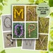 Nature Alphabet Flashcards: Forest School Learning (digital Download ...