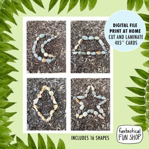 Printable Shapes by Nature Flashcards, Natural Forest Shapes for ...