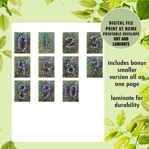 PRINTABLE Nature Numbers Flashcards With Flowers, Natural Forest ...