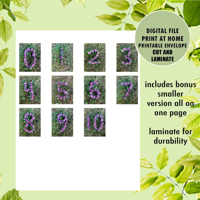 PRINTABLE Nature Numbers Flashcards With Flowers Natural - Etsy