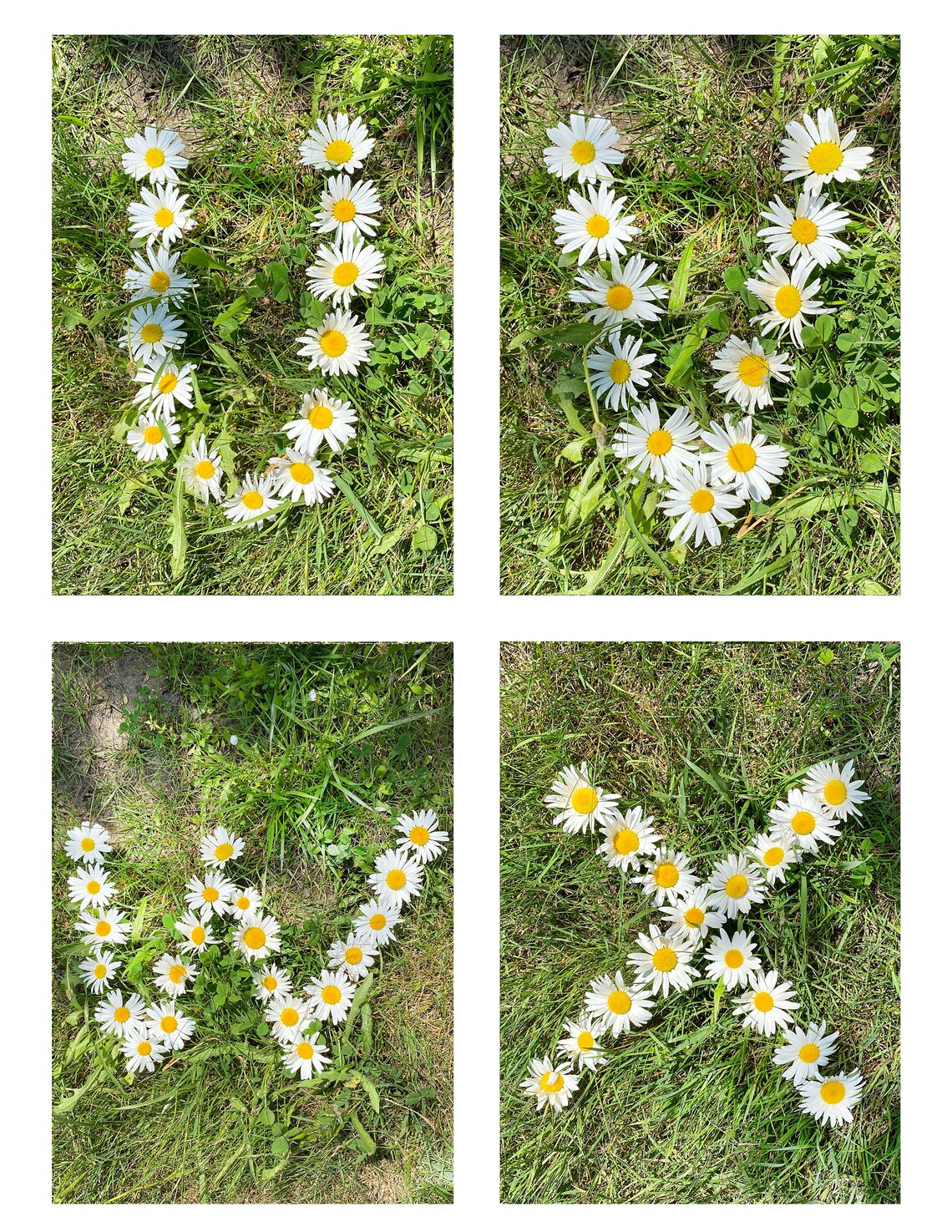 Spring Themed Alphabet Flashcards Uppercase Flower Letters - Etsy