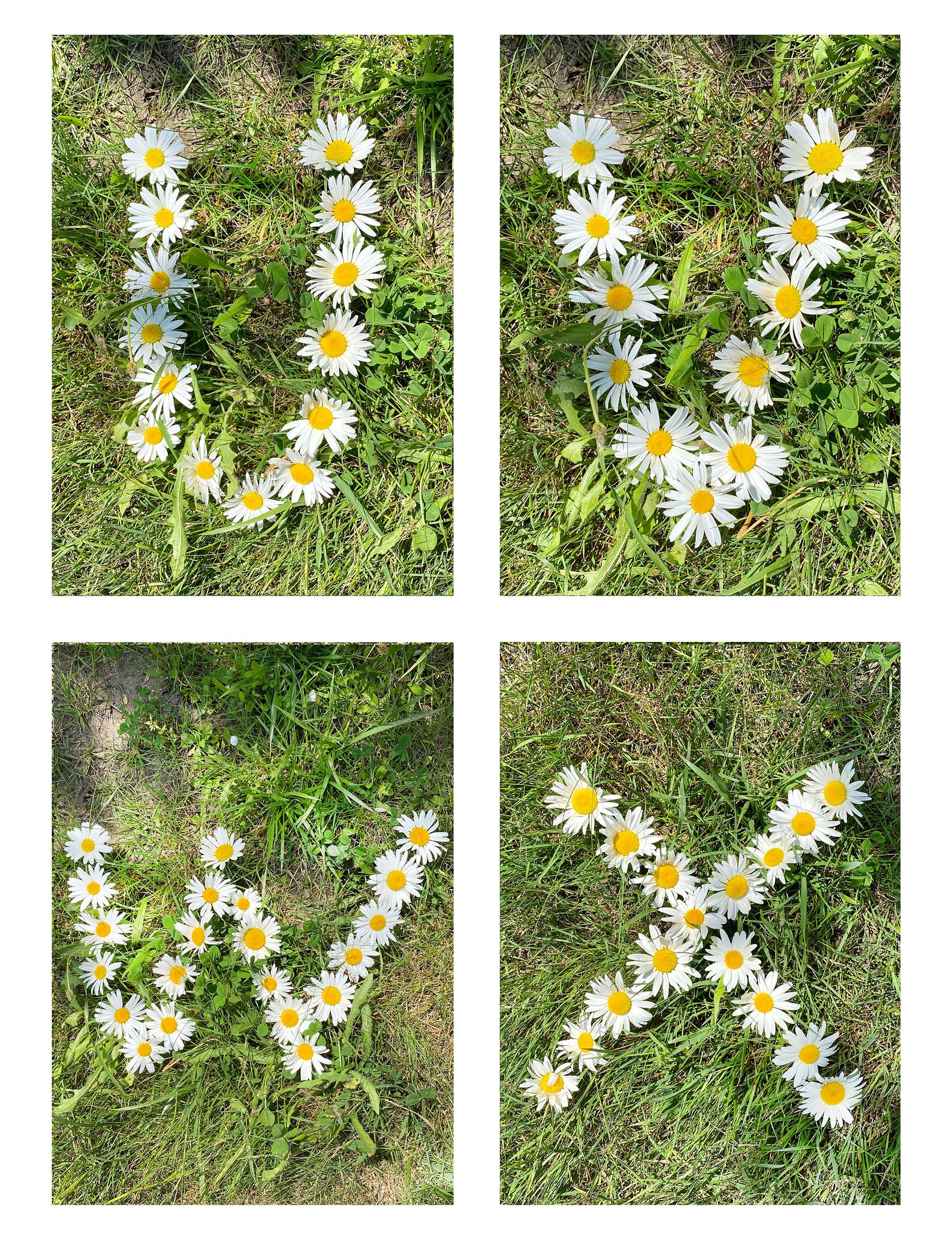 Spring Themed Alphabet Flashcards Uppercase Flower Letters - Etsy