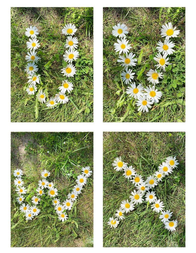 Spring Themed Alphabet Flashcards Uppercase Flower Letters - Etsy