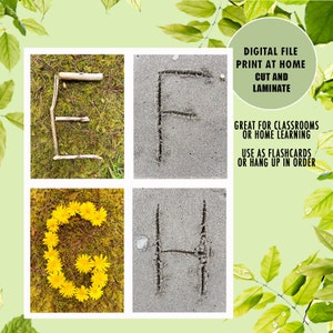 Nature Alphabet Flashcards PDF, Capitol Letters, Natural Learning ...