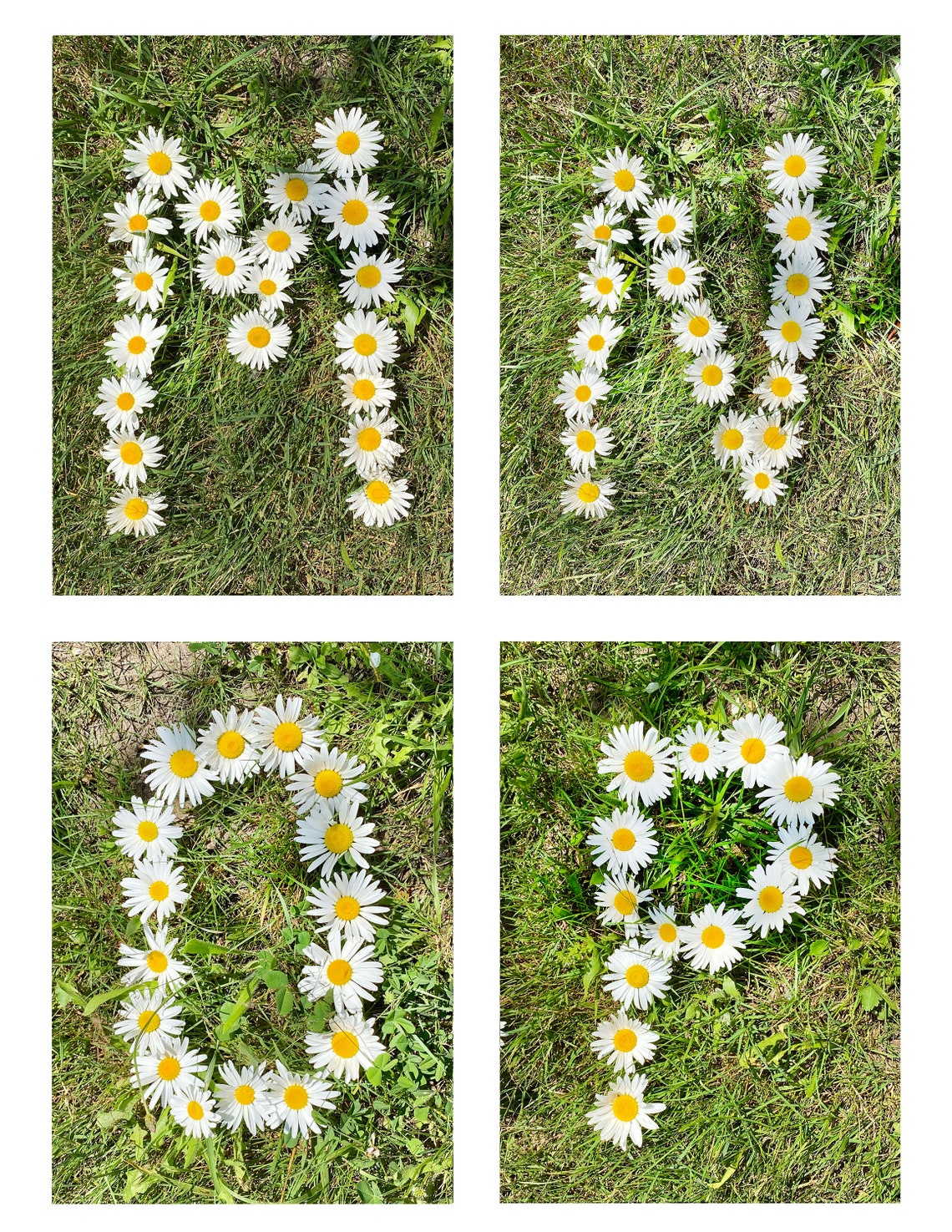 Spring Themed Alphabet Flashcards Uppercase Flower Letters - Etsy