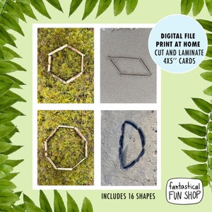 Printable Shapes by Nature Flashcards, Natural Forest Shapes for ...