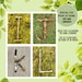 Nature Alphabet Flashcards: Forest School Learning (digital Download ...