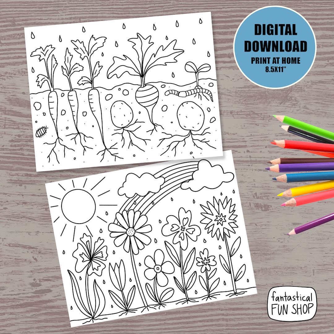 Spring Garden Coloring Pages: Flowers, Vegetables (digital Download) - Etsy