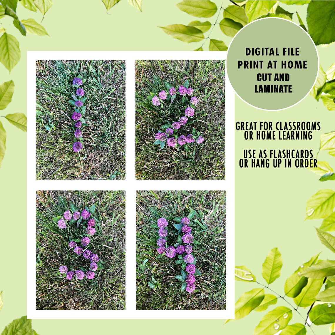 PRINTABLE Nature Numbers Flashcards With Flowers Natural - Etsy