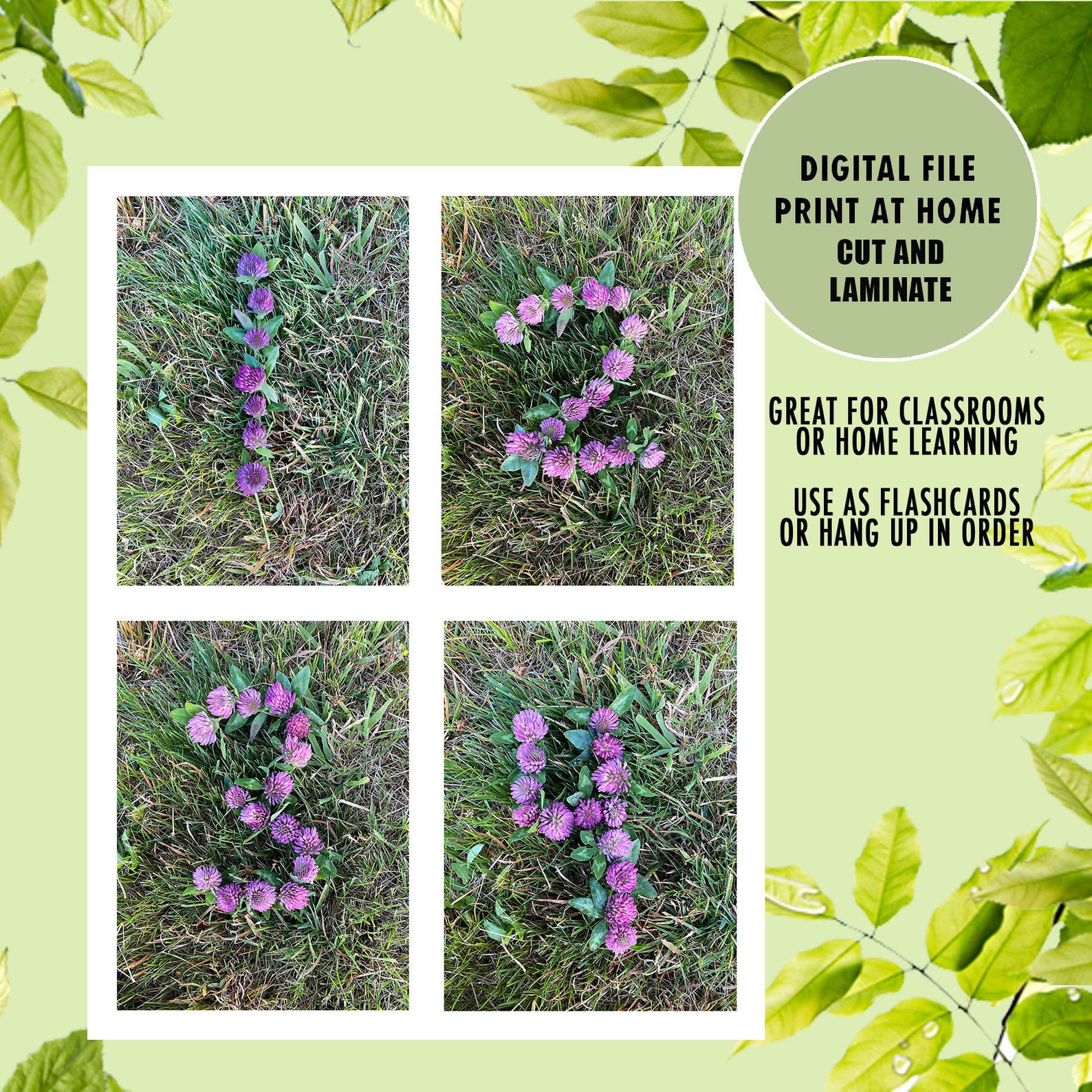 PRINTABLE Nature Numbers Flashcards With Flowers Natural - Etsy