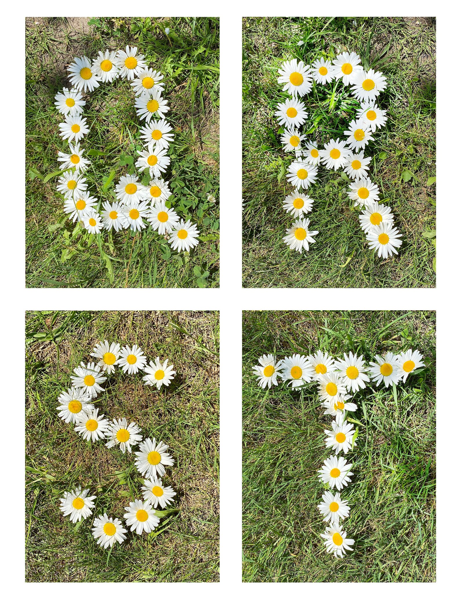 Spring Themed Alphabet Flashcards Uppercase Flower Letters - Etsy