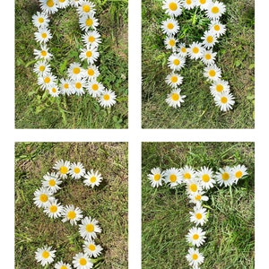 Spring Themed Alphabet Flashcards, Uppercase Flower Letters for ...