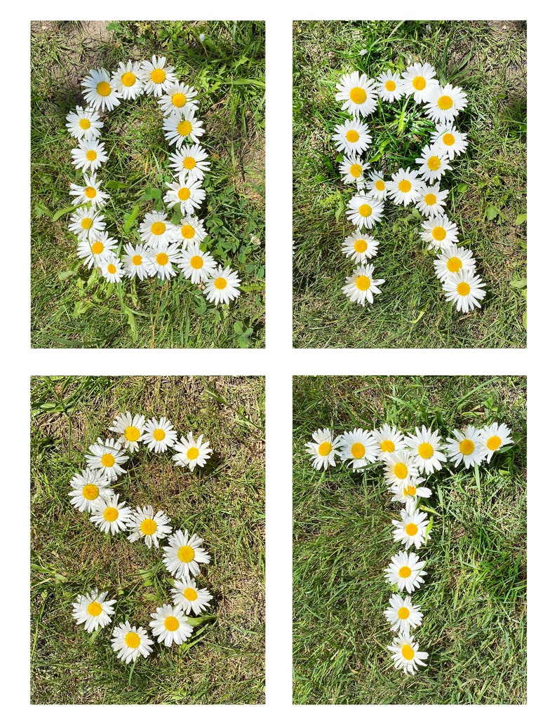 Spring Themed Alphabet Flashcards Uppercase Flower Letters - Etsy