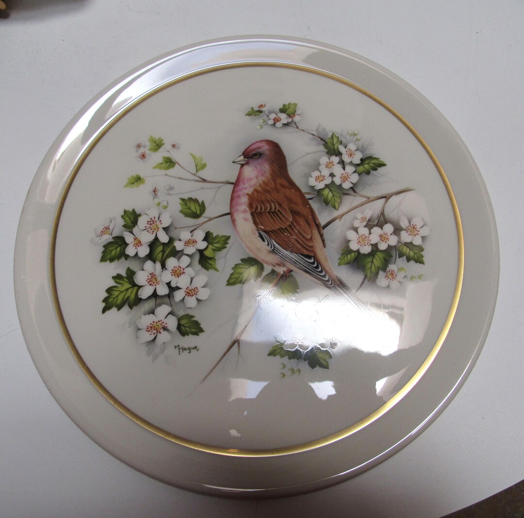 Vintage PICKARD Plate Hand Painted China Bird White Flowers - Etsy
