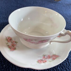 Vintage Elbogen China Cup and Saucer Austria - Etsy
