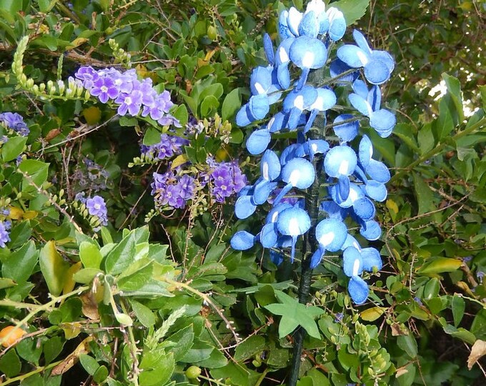 Blue Bonnet With Leaves - Texas Blue Bonnets Paper Floral Stem Paper ...
