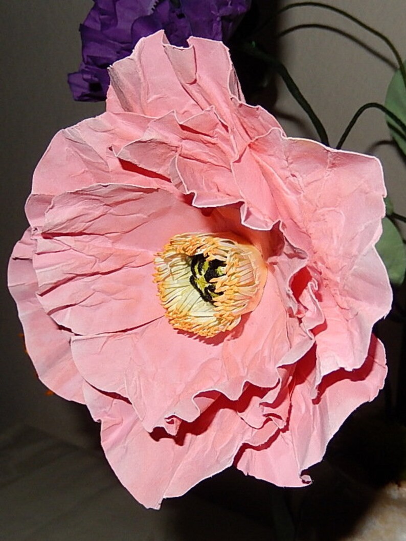 Individual Poppy Stem Botanical Poppies Wedding Event - Etsy