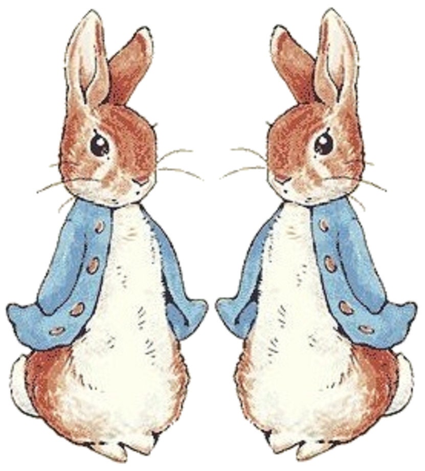 Temporary Tattoo Peter Rabbit Various Patterns / Tattoo | Etsy