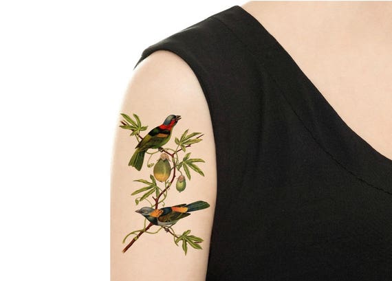 Vintage Bird Tattoo