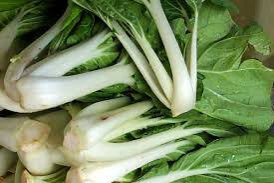 Pechay Seeds 200 Seeds -filipino Variety of Mild Chinese Cabbage- Pai ...